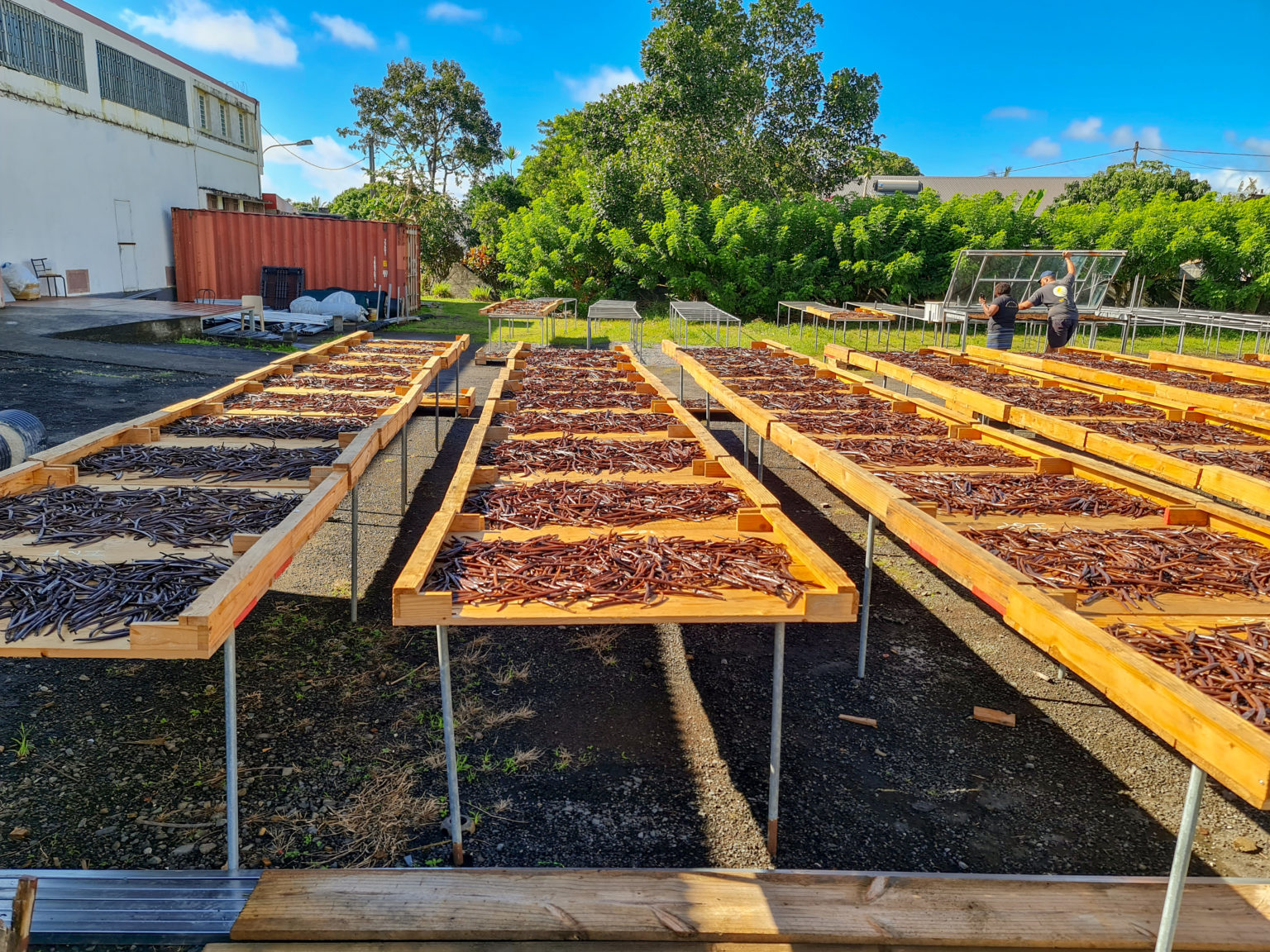 Où acheter de la vanille à la Réunion - Quelle vanilleraie visiter