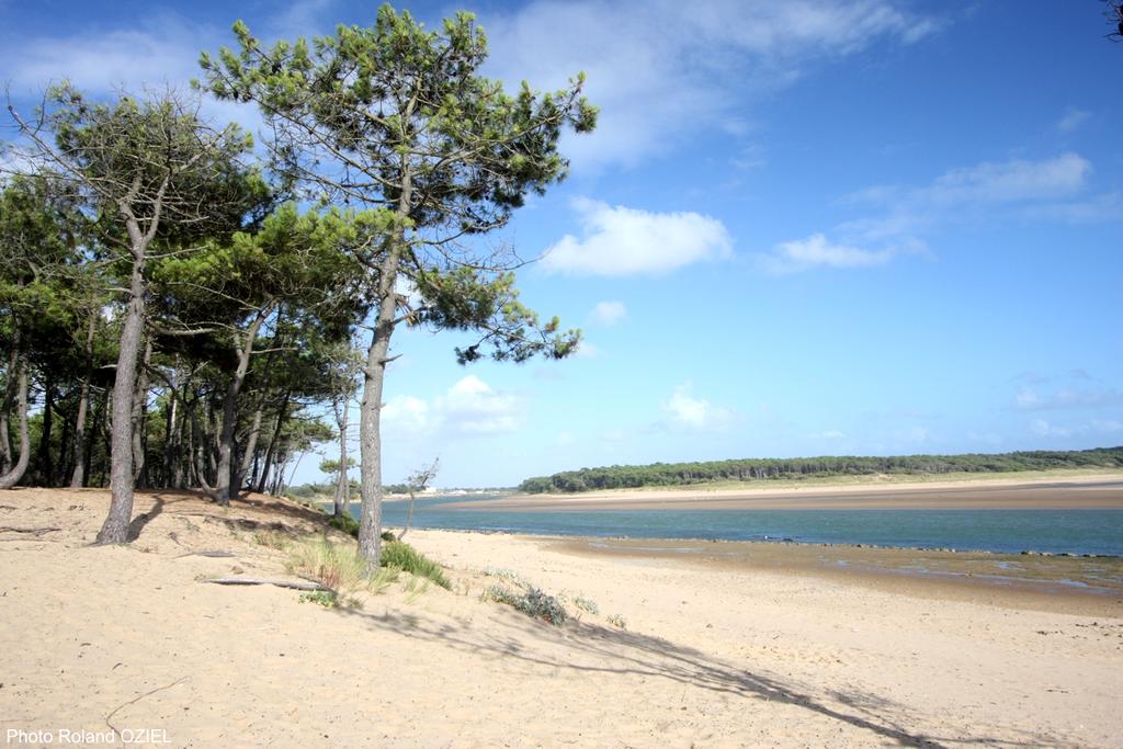 Location vacances avec chien Vendée - Location bord de mer et piscine