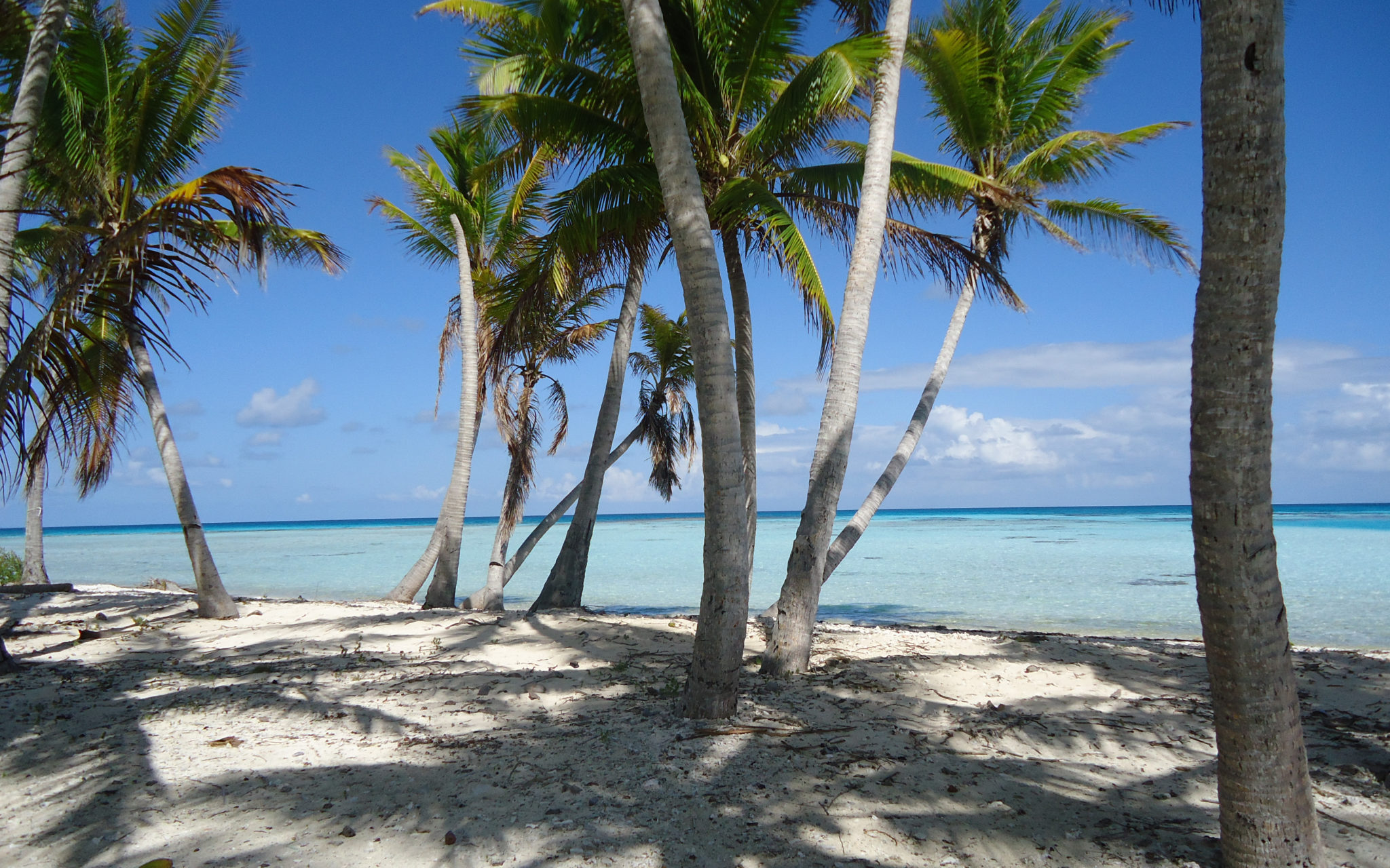 Hvor skal man tage på ferie i Frankrig? Vejledning 2024